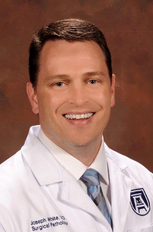 Section of Anatomic Pathology